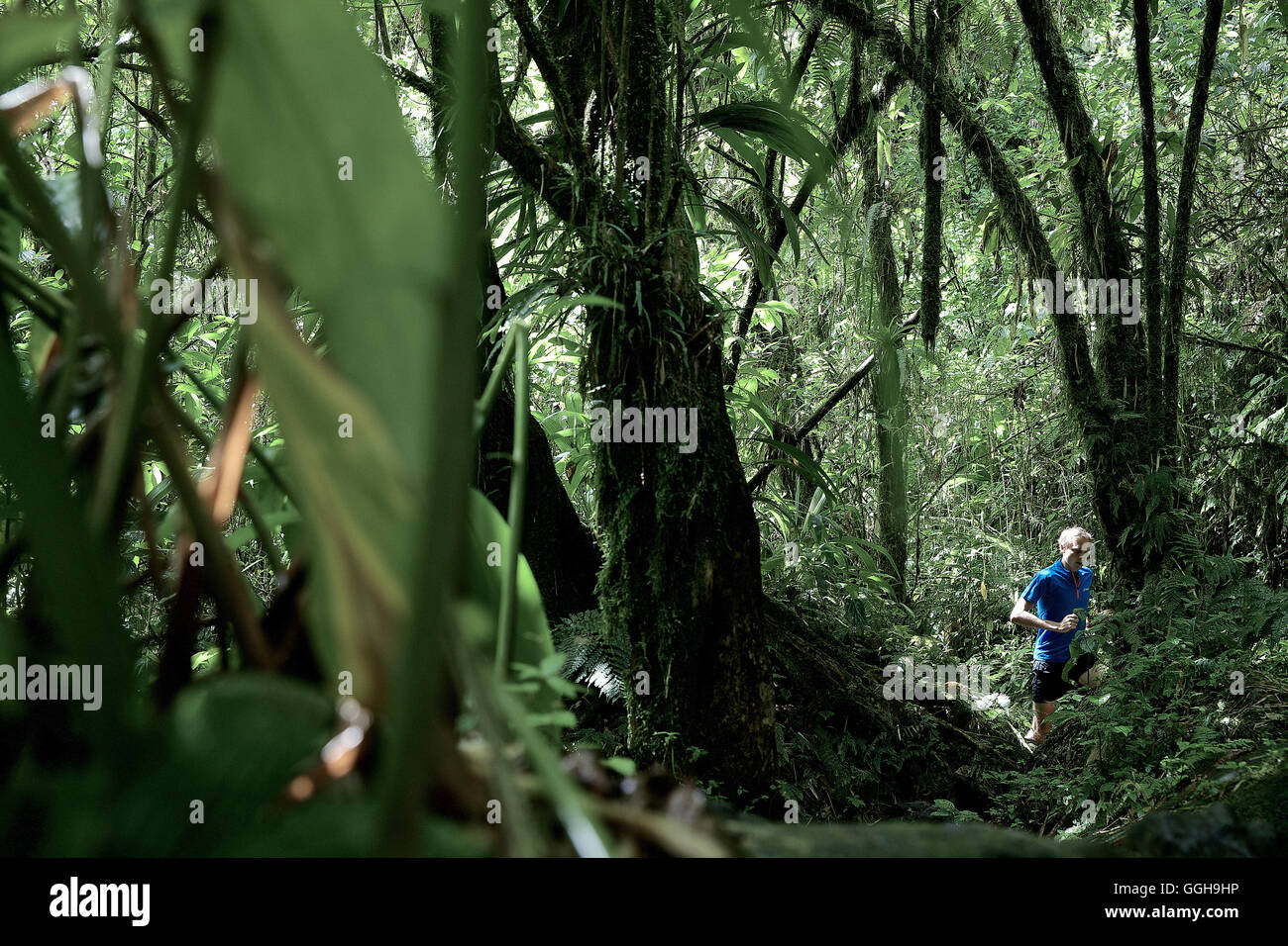 Young man running through a jungle, Dominica, Lesser Antilles ...