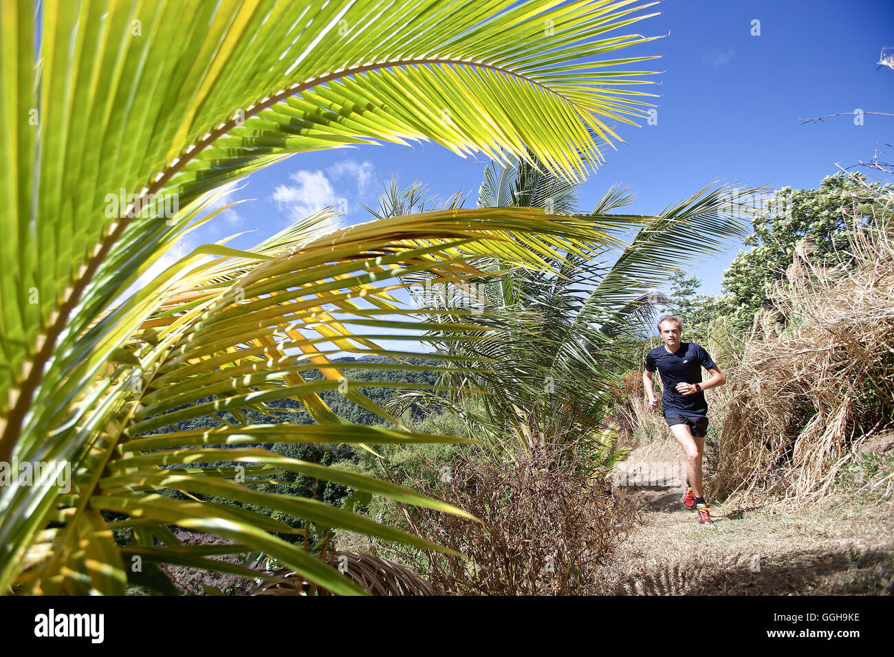 Young man running along a trail, Dominica, Lesser Antilles, Caribbean ...