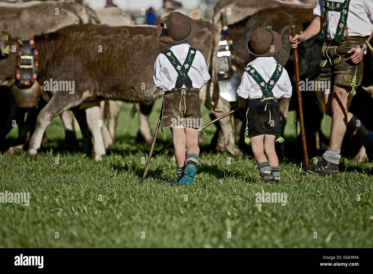 Boys wearing traditional clothes, Viehscheid, Allgau, Bavaria, Germany ...