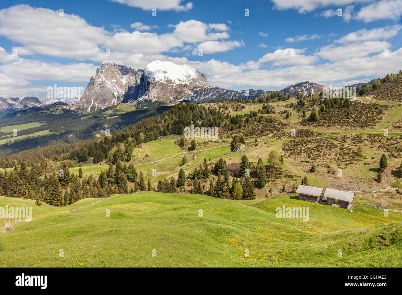 geography / travel, Italy, South Tyrol, mountain meadow and alpine hut ...
