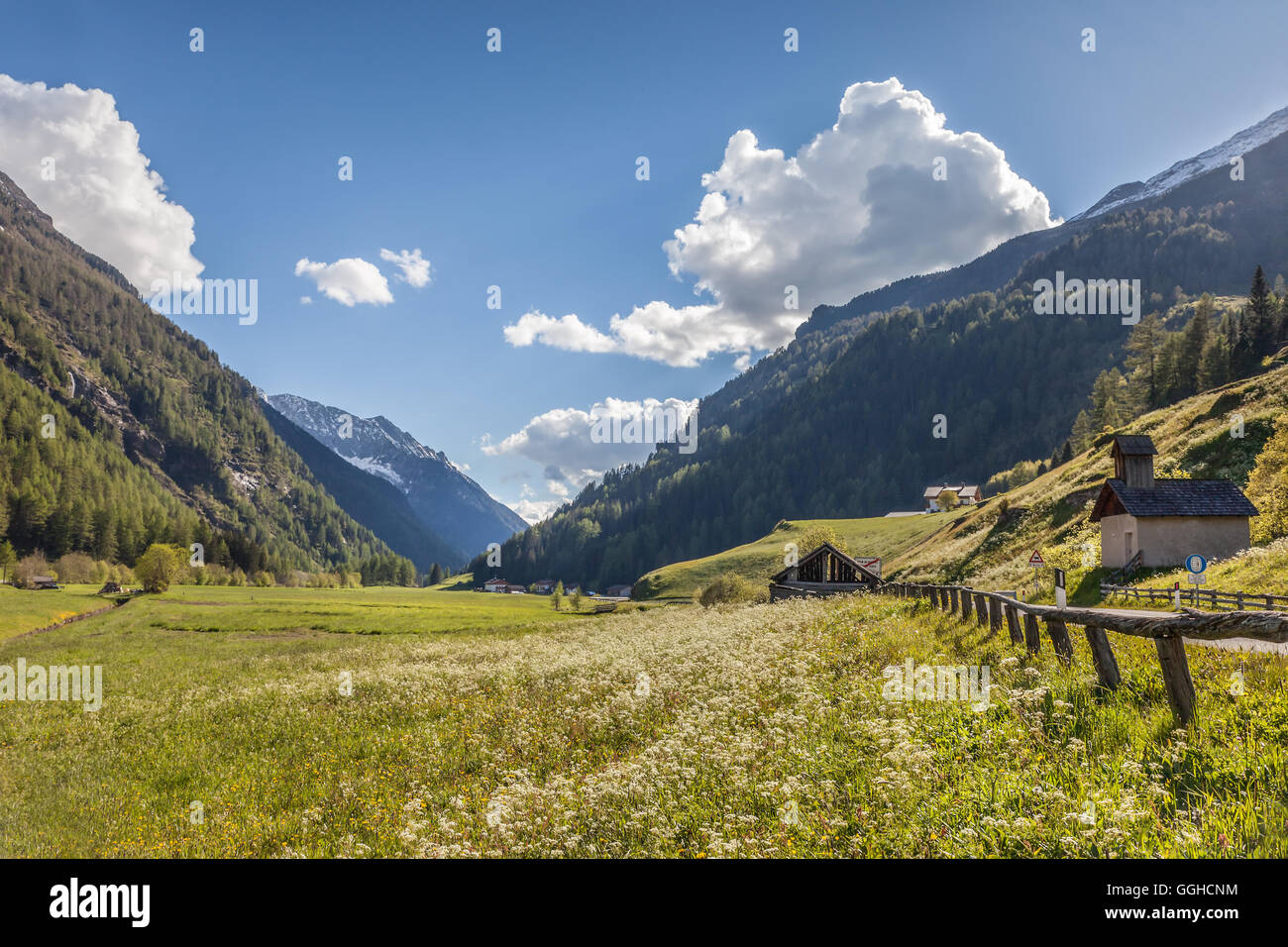 Alps summer summerly hi-res stock photography and images - Alamy