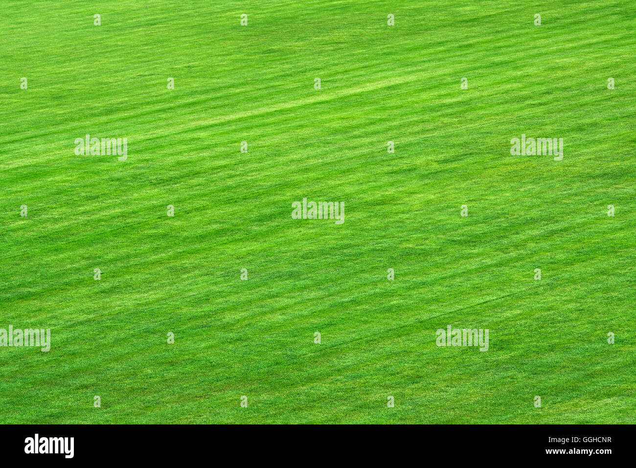 Green grass on playing field Stock Photo - Alamy