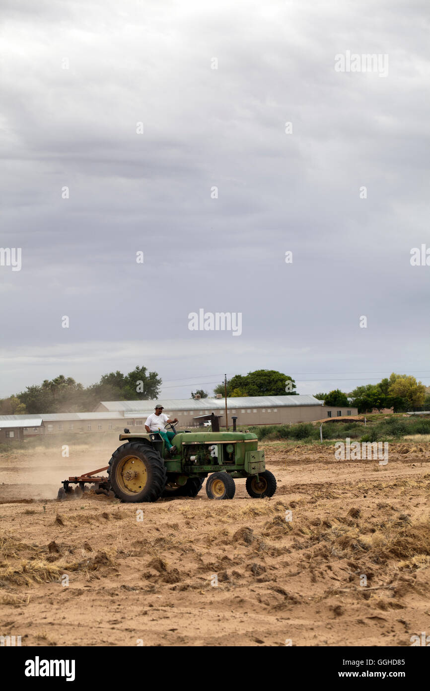 Farmer Preparing Land For Planting at Kalahari Farmhouse near Stampriet ...