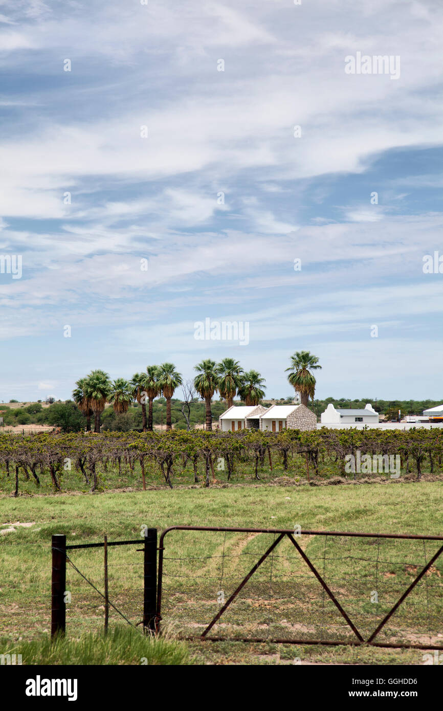 Farmland in Kalahari - Stampriet in Namibia Stock Photo - Alamy