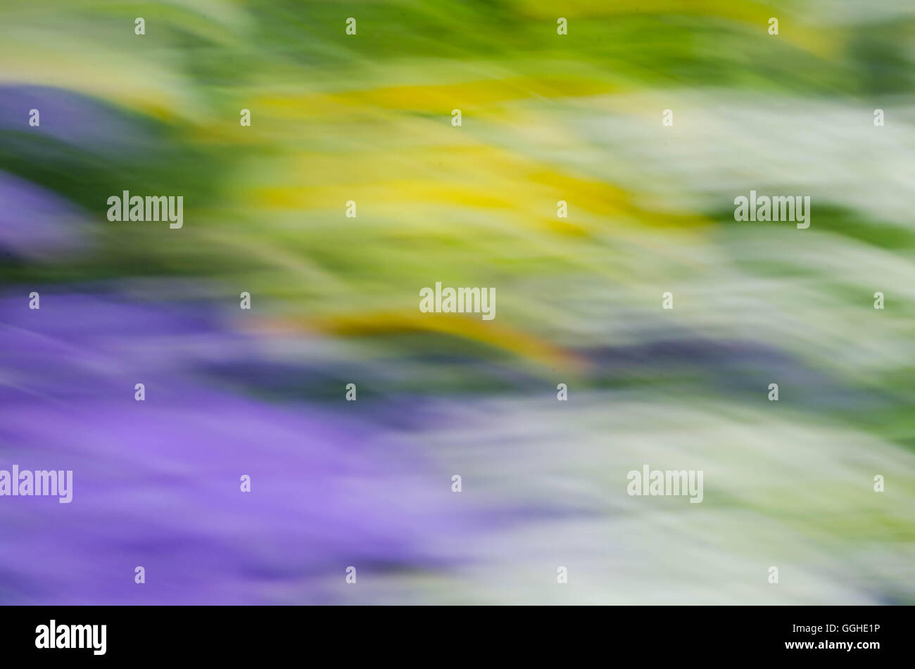 Blurred floral backdrop hi-res stock photography and images - Alamy
