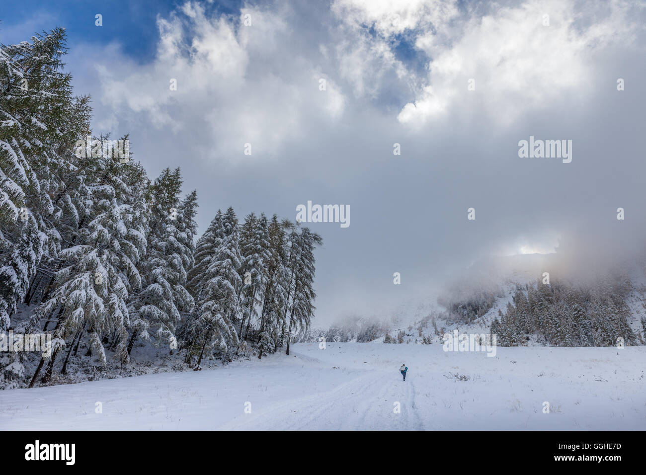 geography / travel, Italy, South Tyrol, hiking trail with dark clouds ...