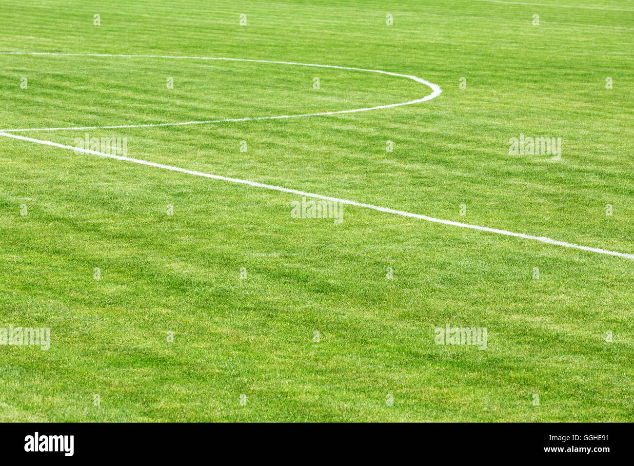Football field with center line Stock Photo - Alamy