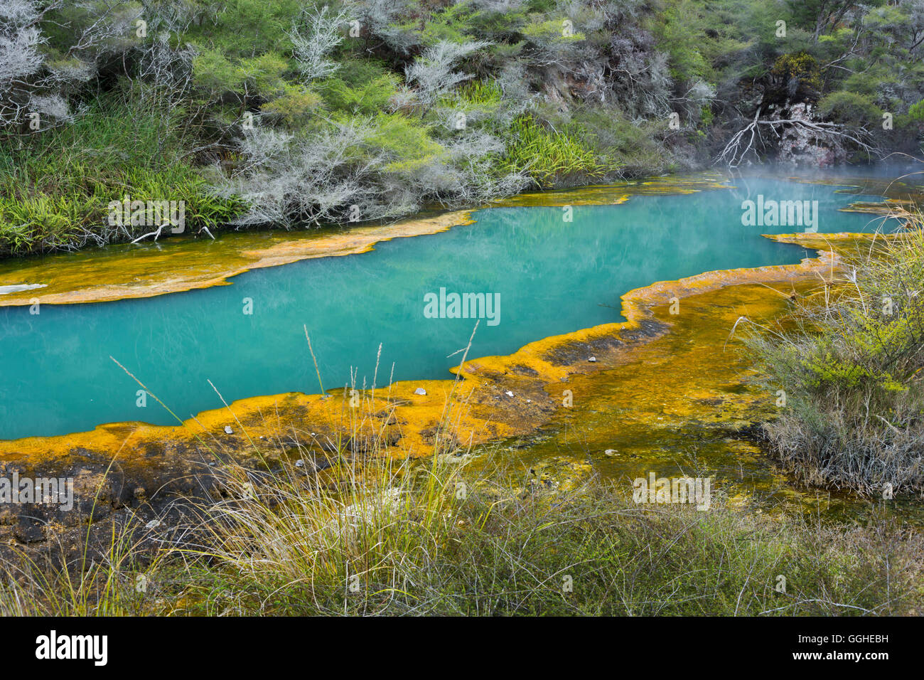 Valley view hot springs hi-res stock photography and images - Alamy