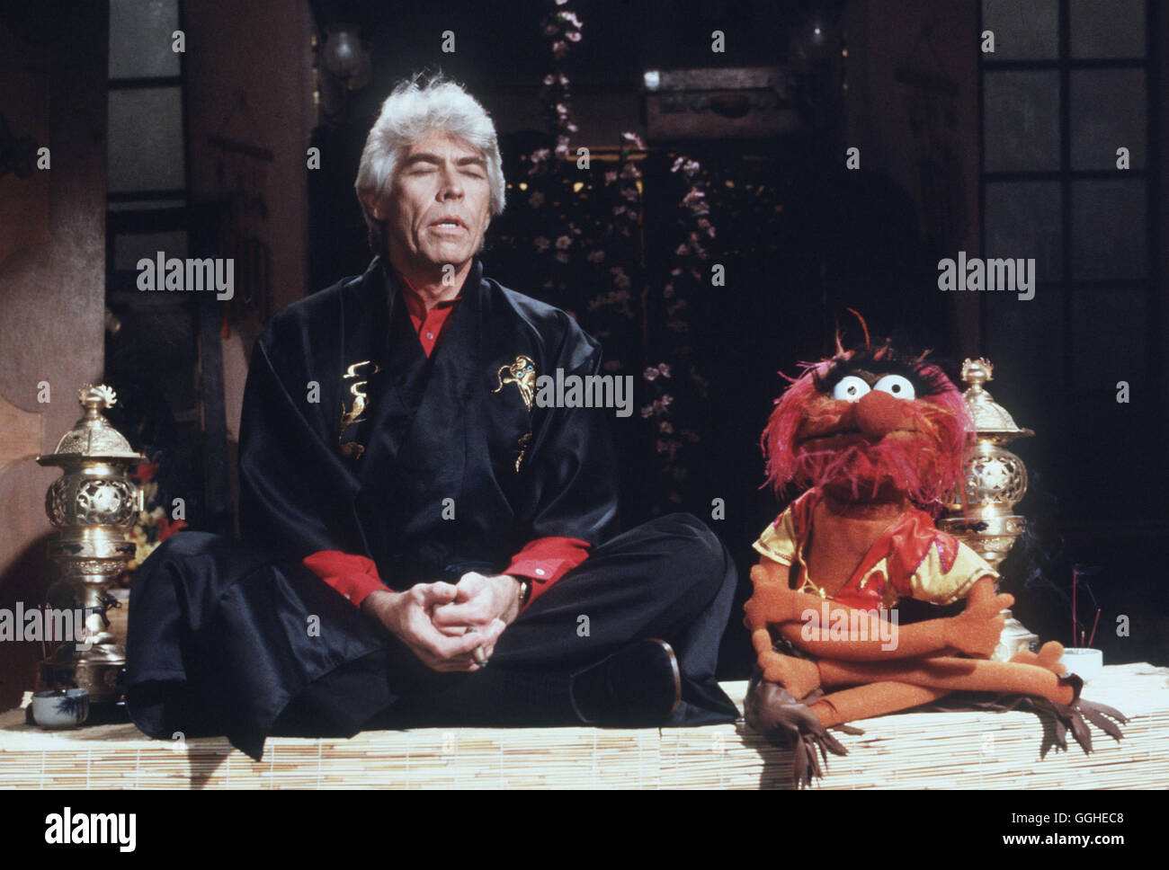The muppet show hi-res stock photography and images - Alamy