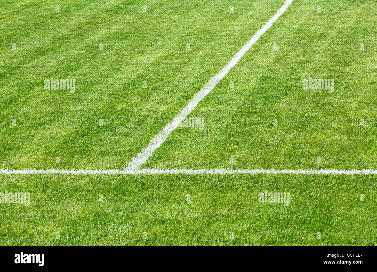Football field with center line Stock Photo - Alamy