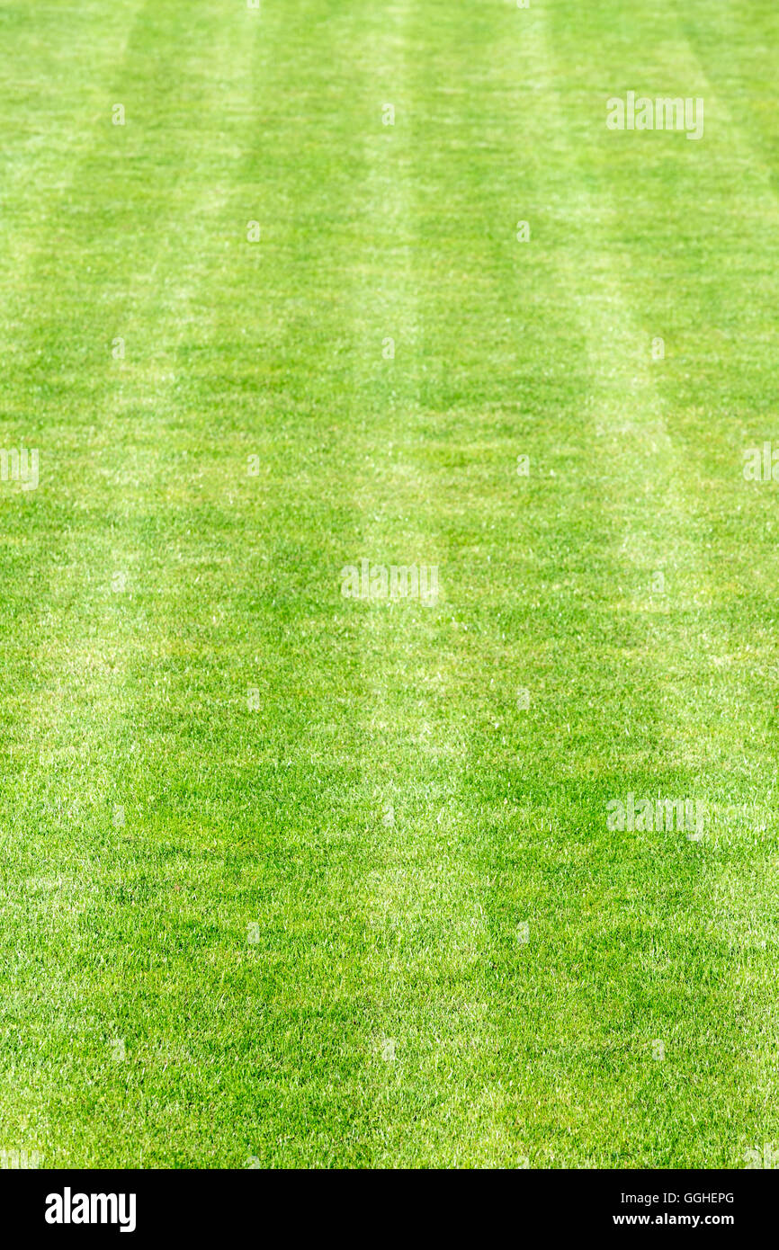 Cricket stadium background hi-res stock photography and images - Alamy