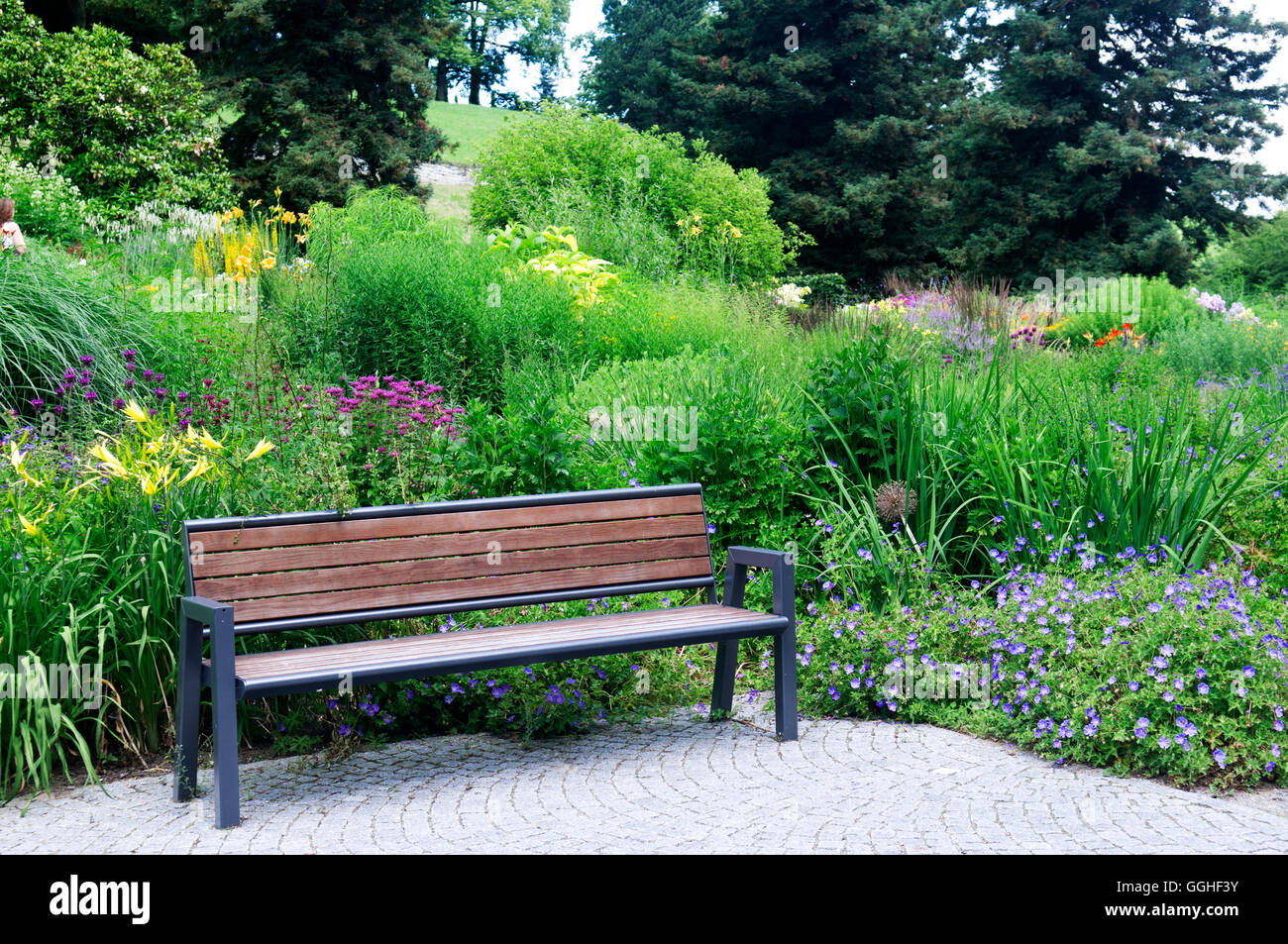 bench to rest in a beautiful park Stock Photo - Alamy