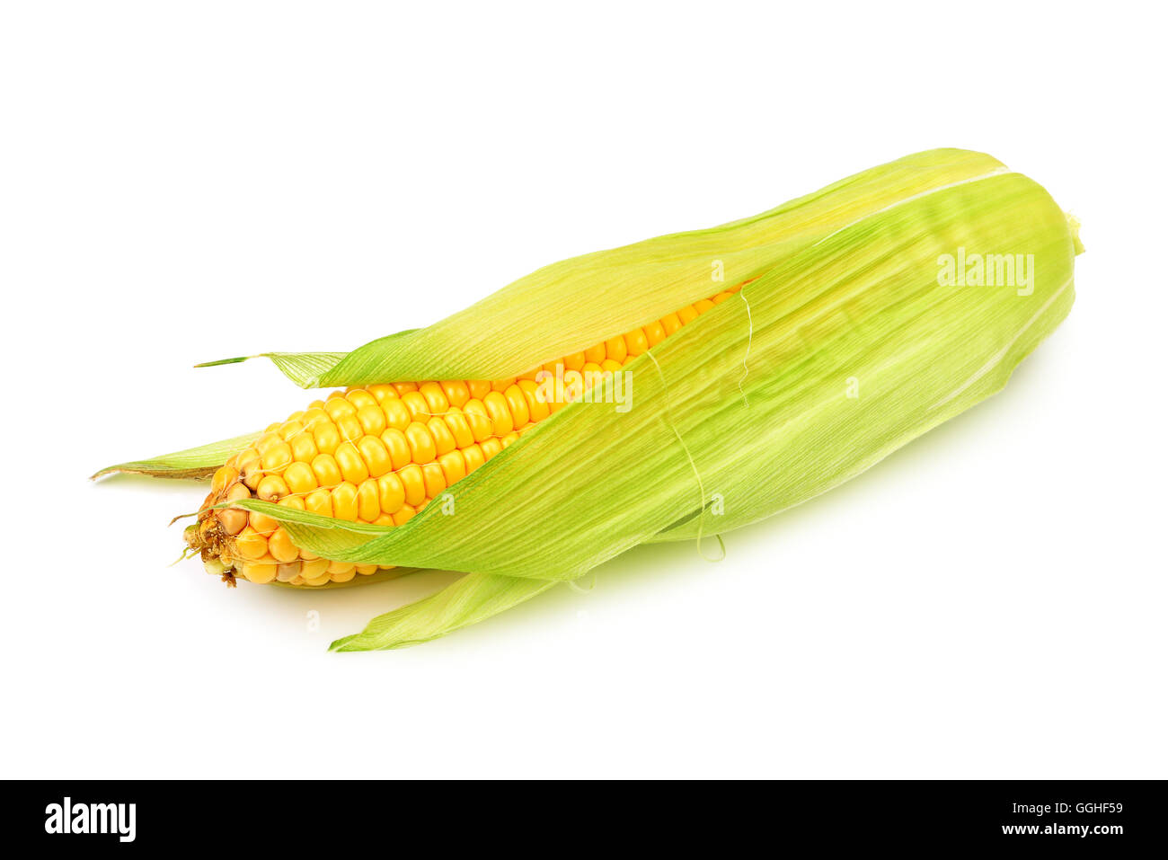 Corn cobs isolated on a white background Stock Photo - Alamy