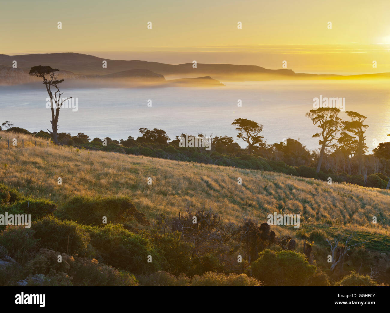 Tahakopa Bay, Papatowai, Catlins, Otago, South Island, New Zealand ...