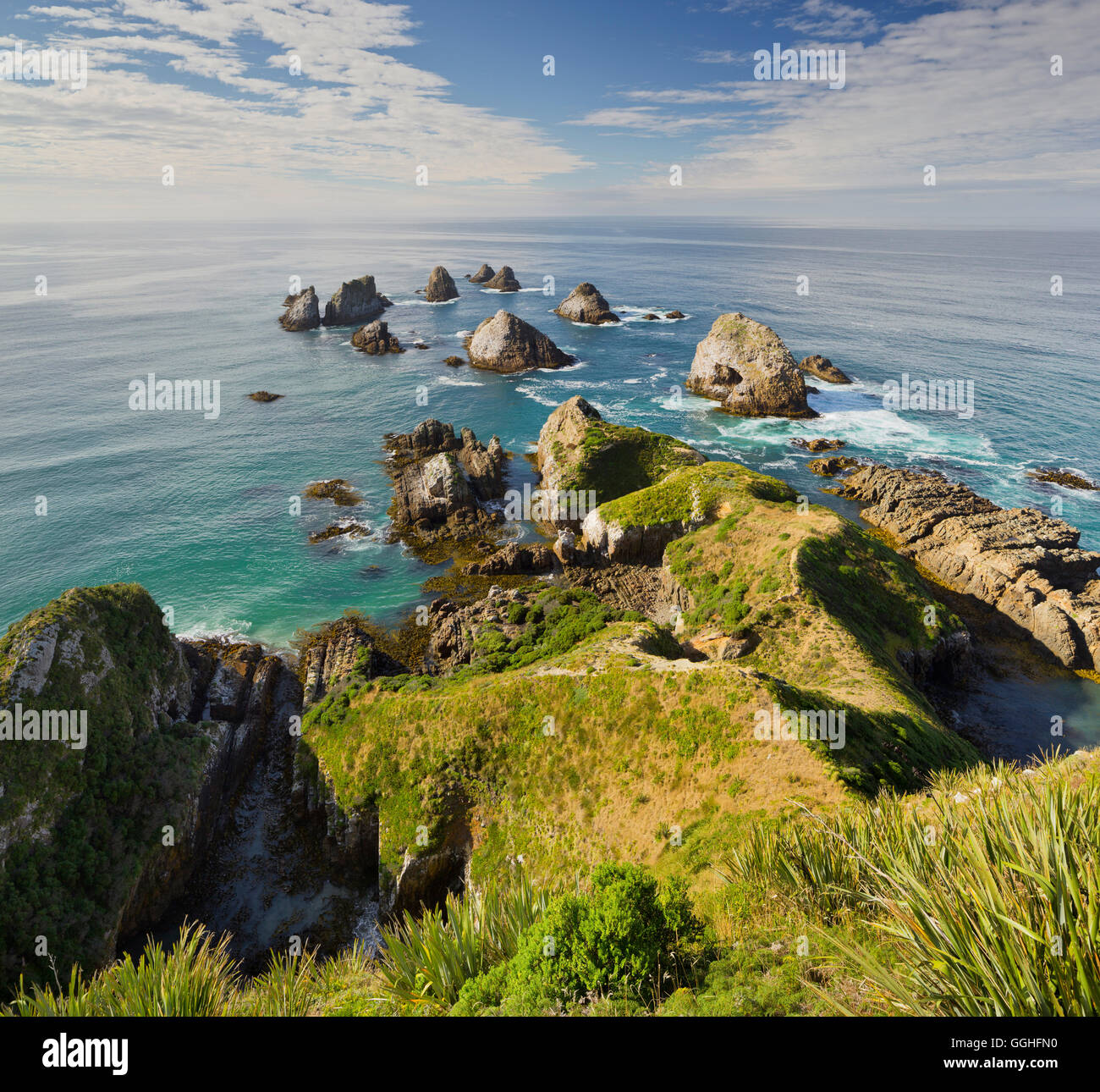 Nugget Point, Otago, South Island, New Zealand Stock Photo - Alamy