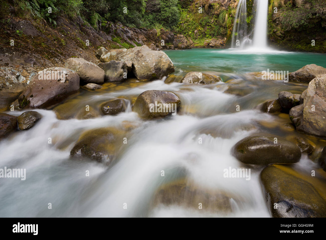 Tawhai Falls, Tongariro Nationalpark, Manawatu-Manganui, North Island ...