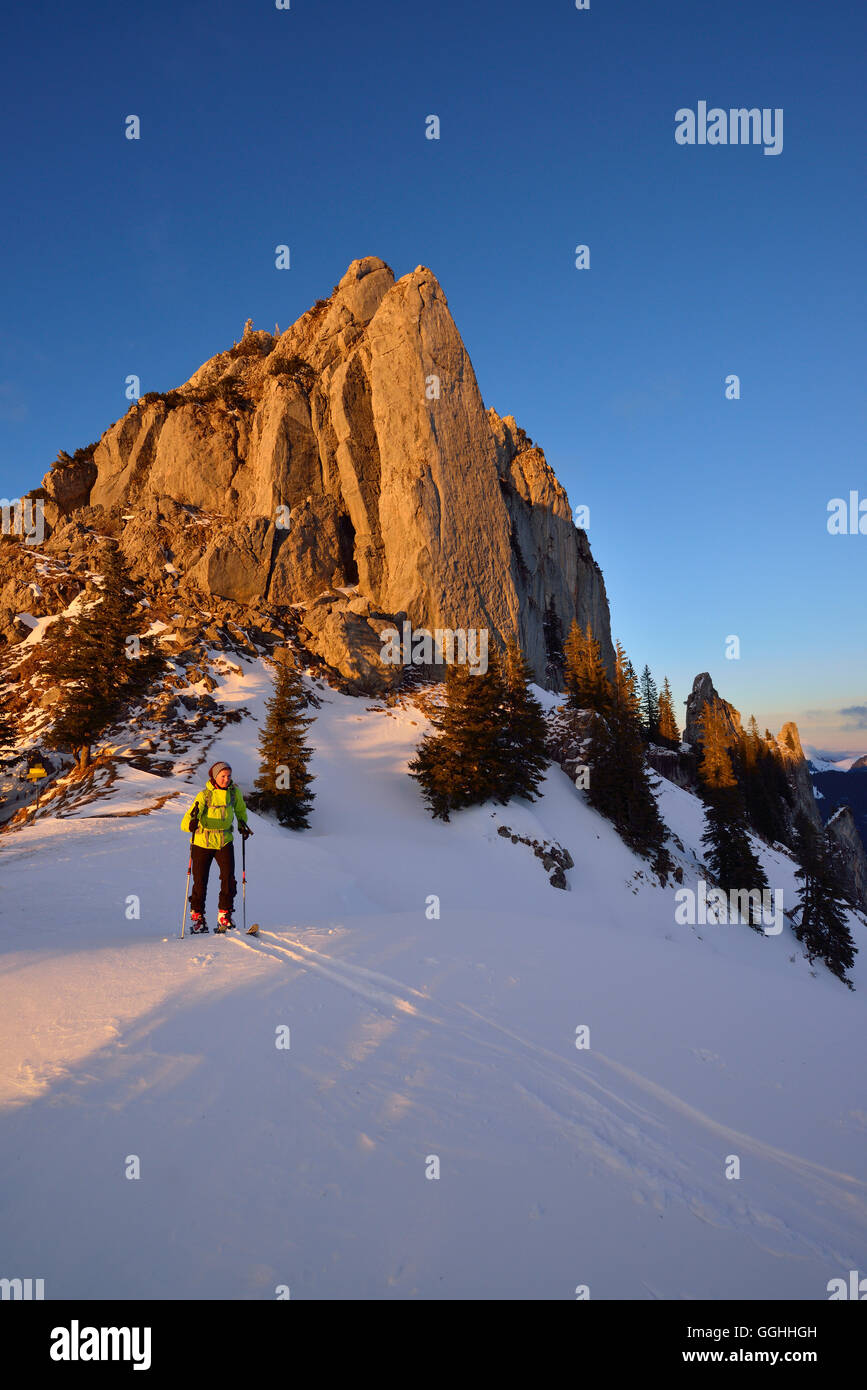 Female back-country skier ascending to Risserkogel, Blankenstein in ...
