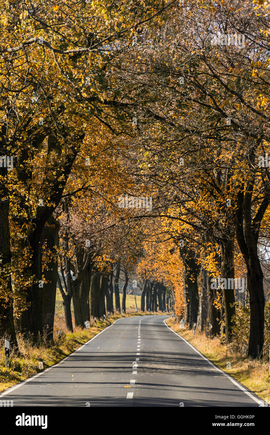 Fall alley germany hi-res stock photography and images - Alamy