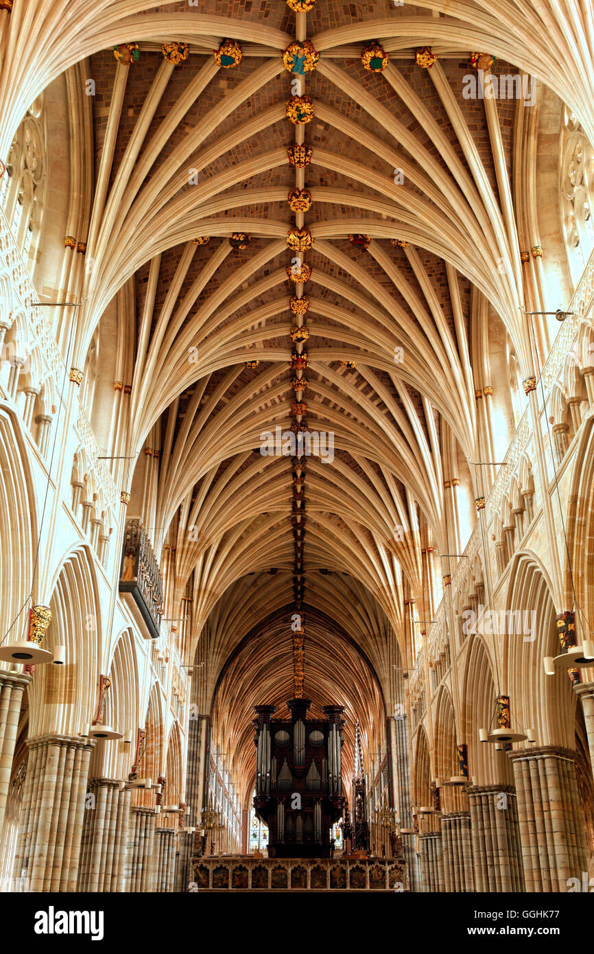 Vault ceiling of exeter cathedral hi-res stock photography and images ...