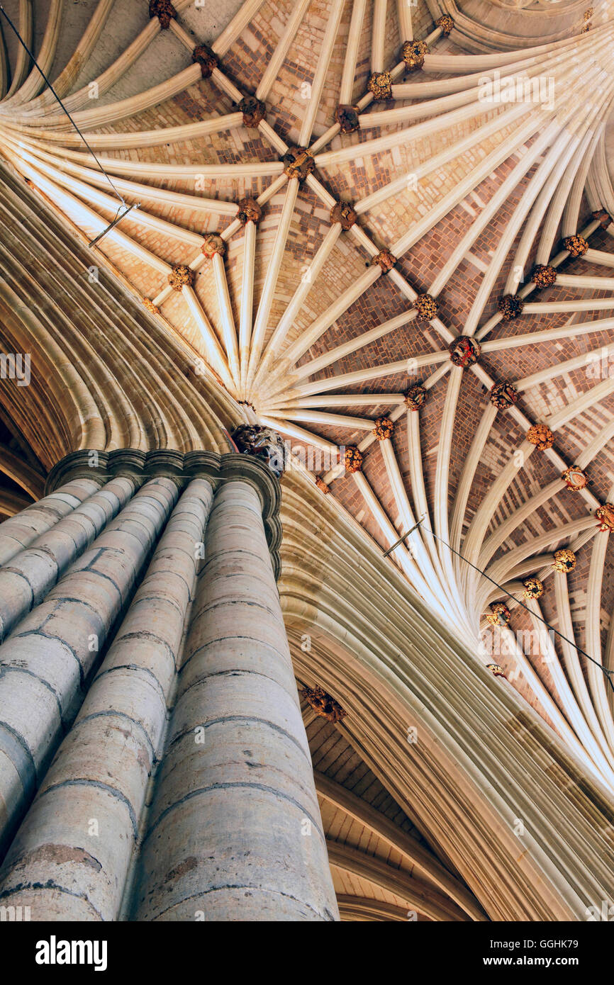 Vault ceiling of Exeter cathedral, Exeter, Devon, England, Great ...