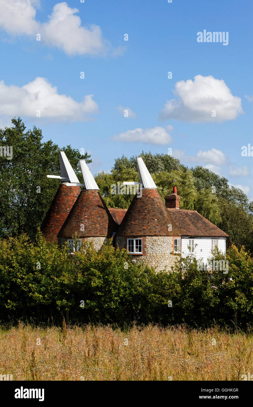 Drying hops hi-res stock photography and images - Alamy