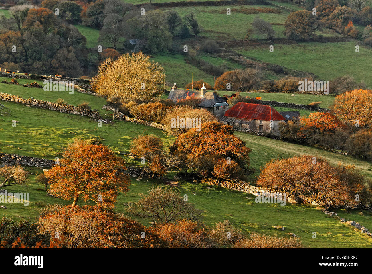 Dartmoor, Yelverton, Devon, England, Great Britain Stock Photo - Alamy