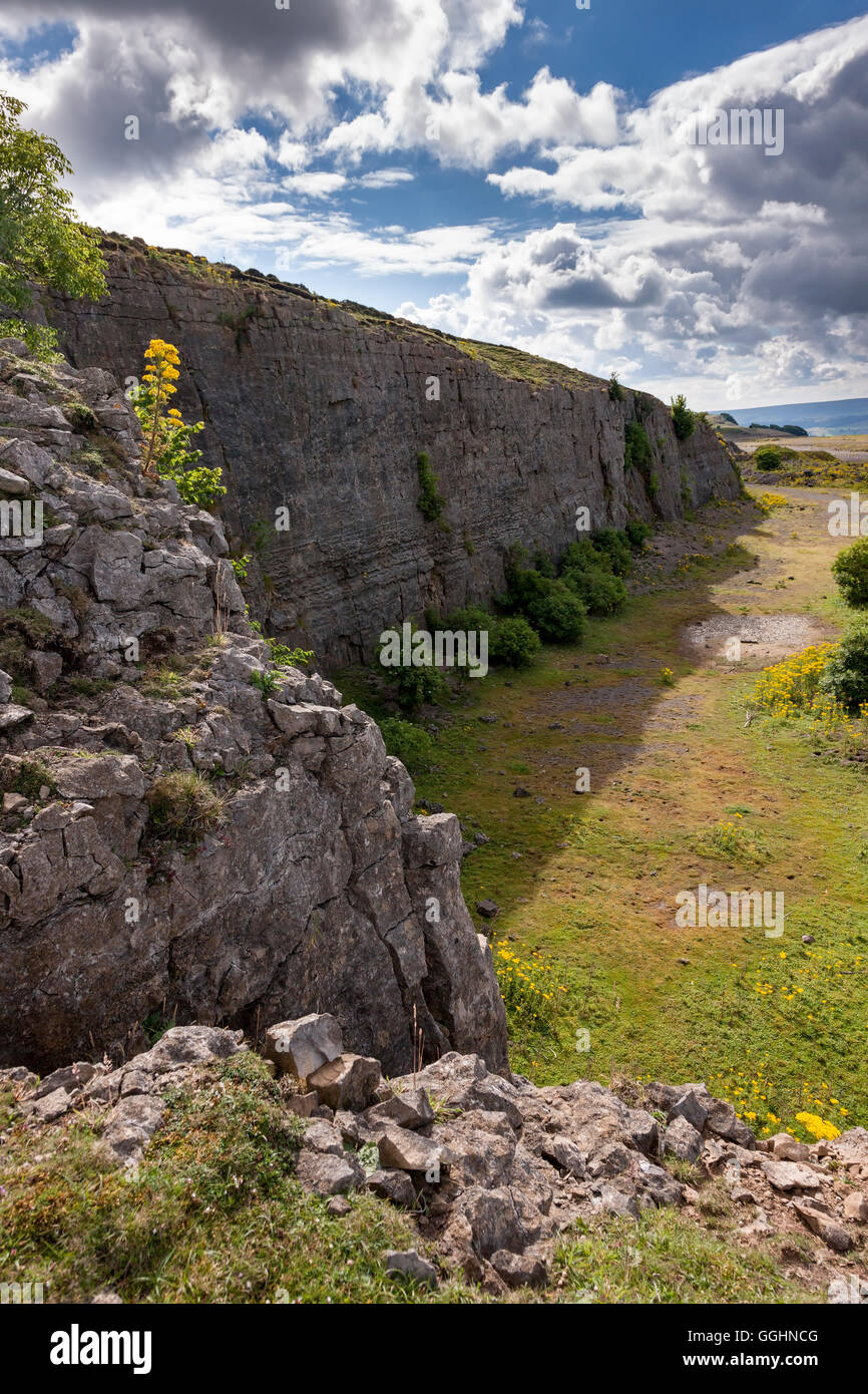 Tarmac (Northern) Ltd, Quarry on Hargill Lane, Redmire, North Yorkshre ...