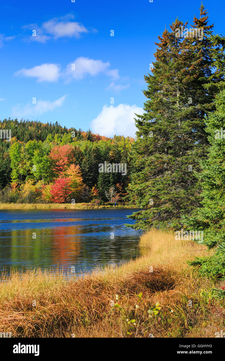 Fall foliage along a slow moving river in rural Prince Edward Island ...