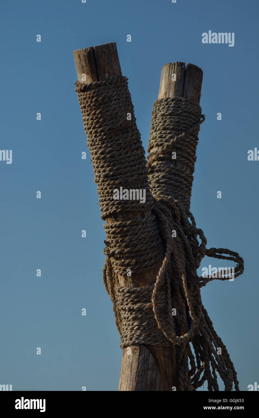 Golden trunks hi-res stock photography and images - Alamy
