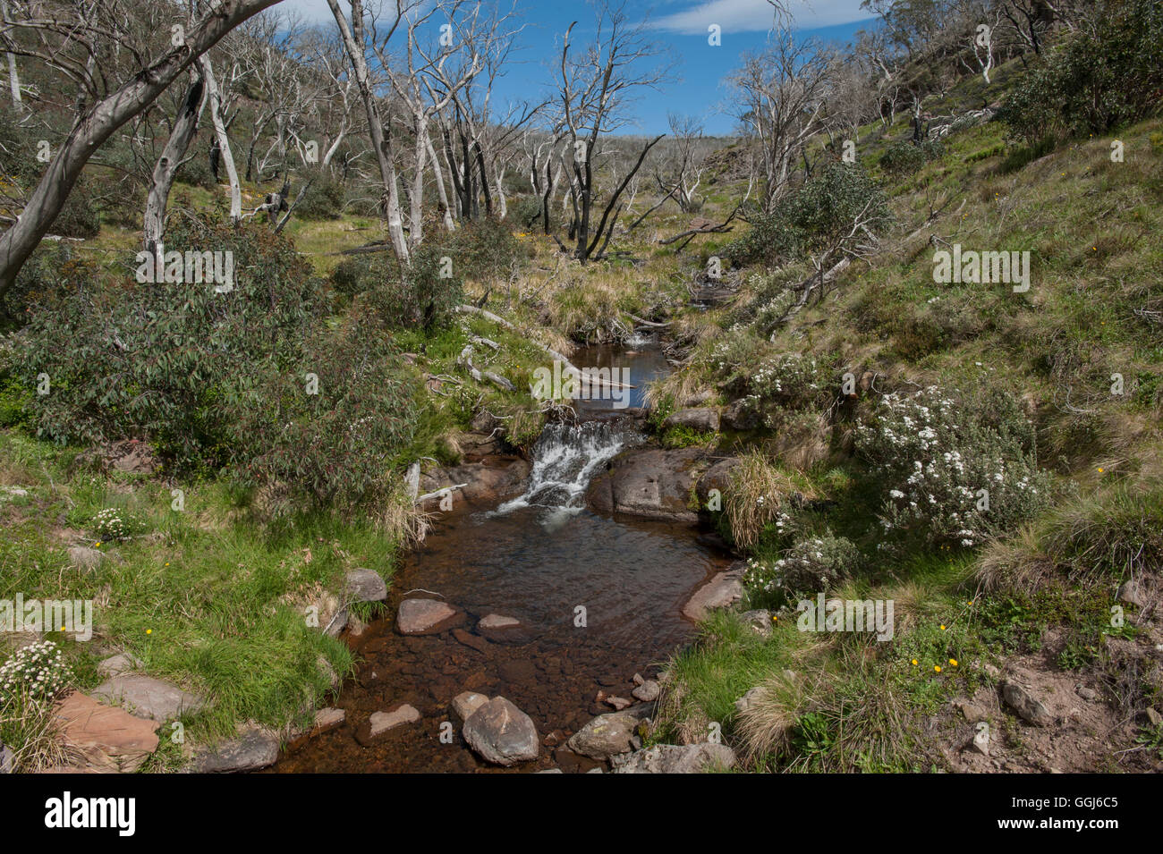 Victoria High Country Landscape Stock Photo - Alamy