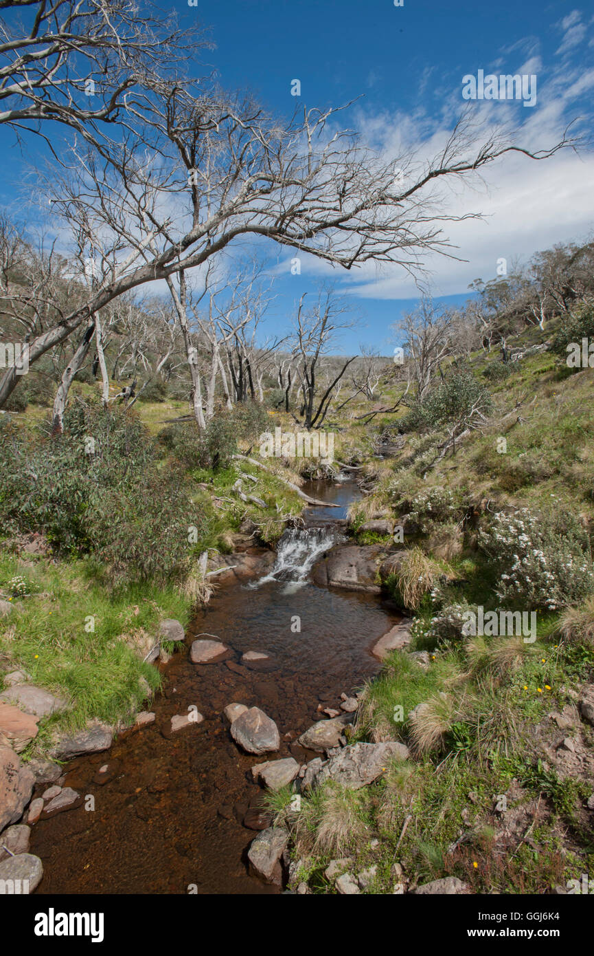 Victoria High Country Landscape Stock Photo - Alamy