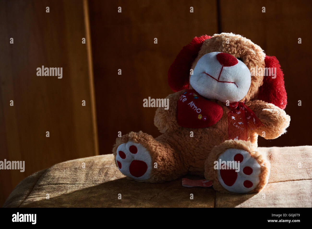 Lovely stuffed animal hi-res stock photography and images - Alamy