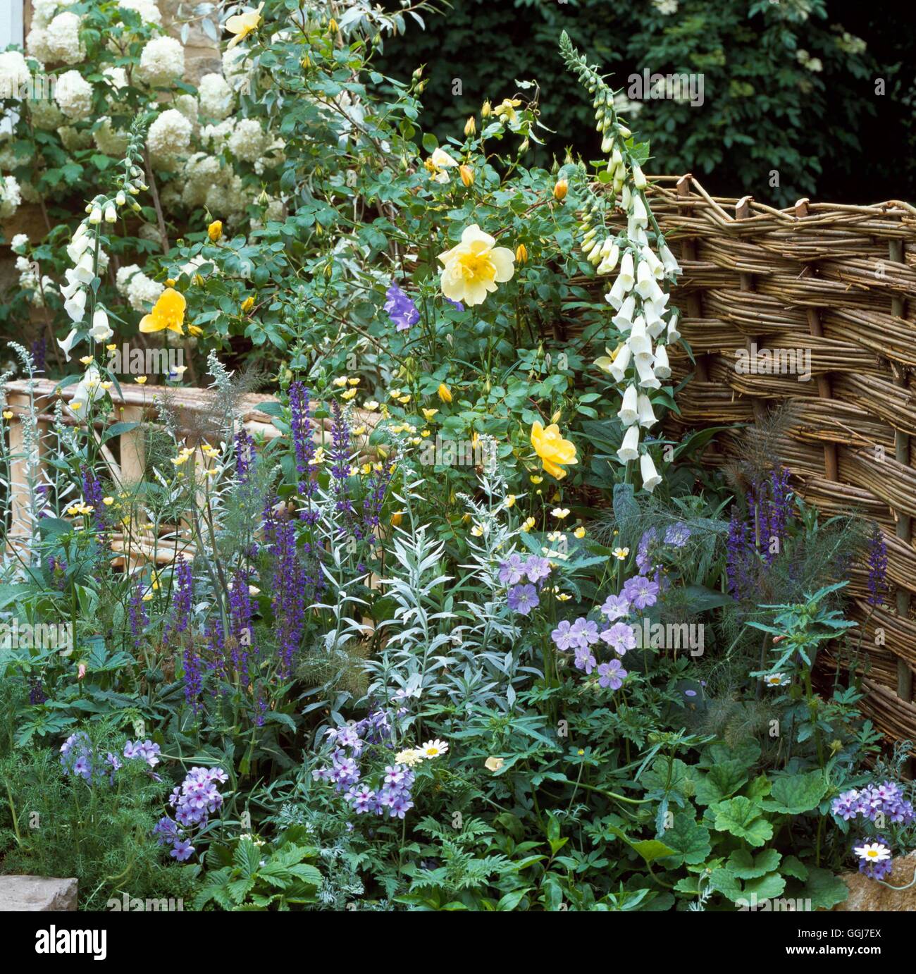 Cottage Garden - (Please credit: Photos Hort/designer Amanda Patton ...