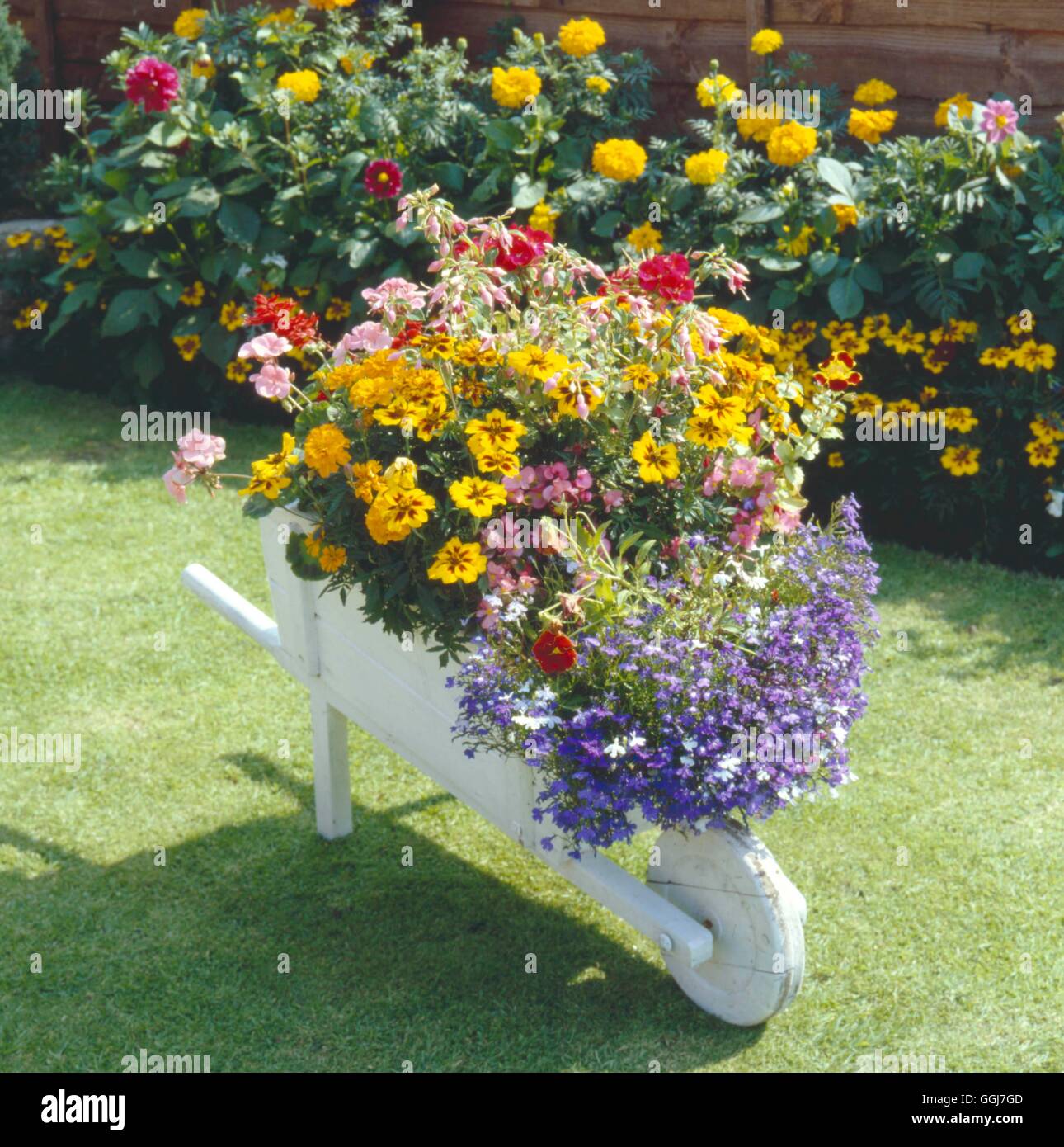 Containers - Annual - Small ornamental wheelbarrow CTR009070 Stock ...