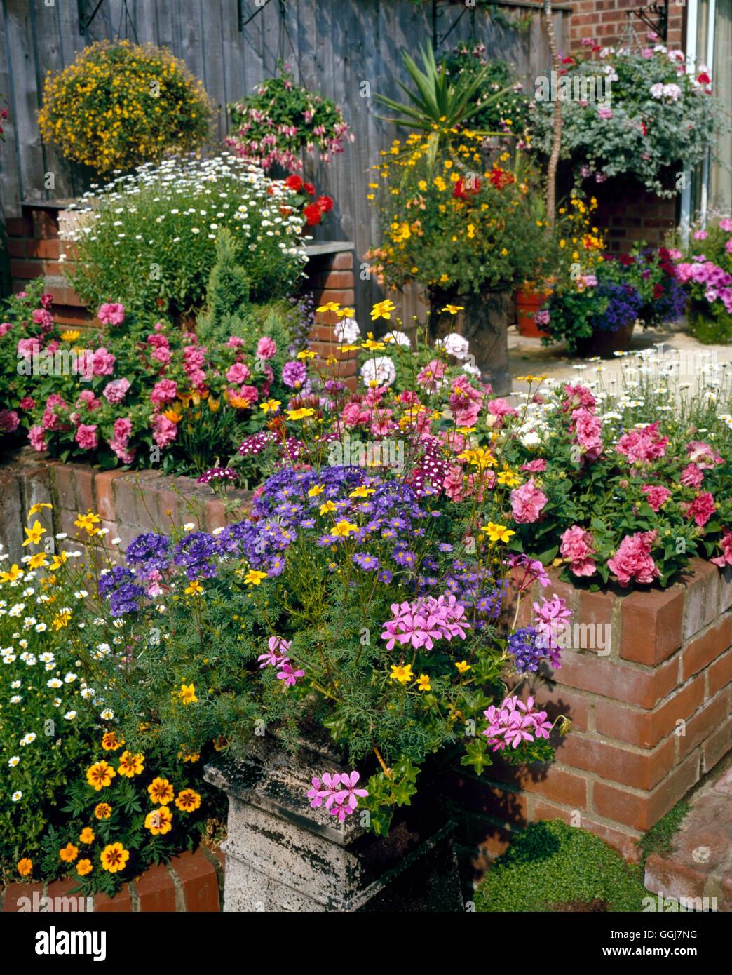 Annualsincontainers hi-res stock photography and images - Alamy