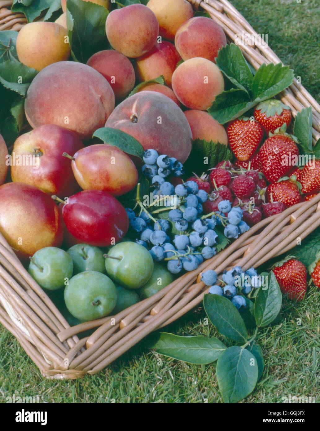 Victoriaplums hi-res stock photography and images - Alamy