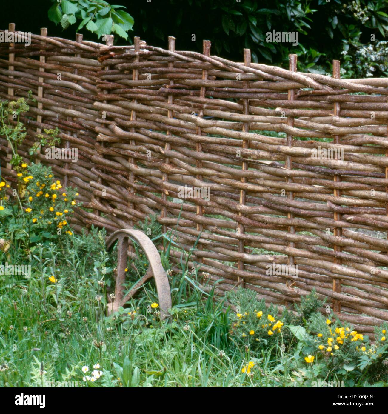 Fence - Chestnut Hurdle FEN101718 Stock Photo - Alamy