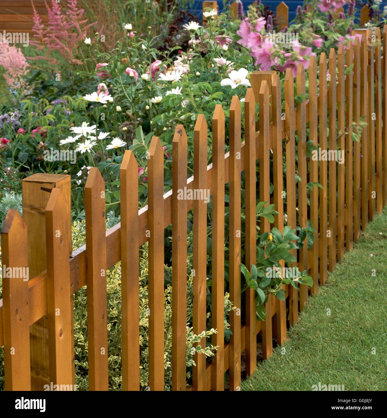 Perennials wood wooden boundary picket fence fen104079 fen104079 hi-res ...