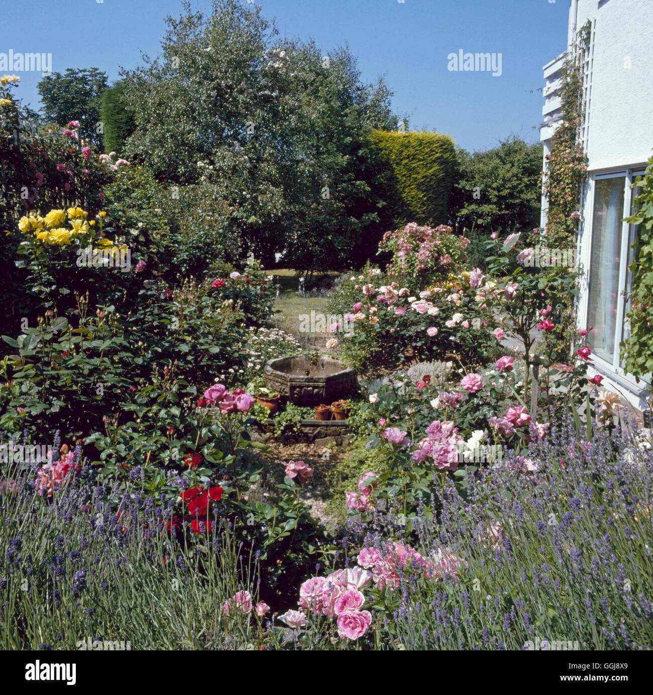 Ffg070516 hi-res stock photography and images - Alamy