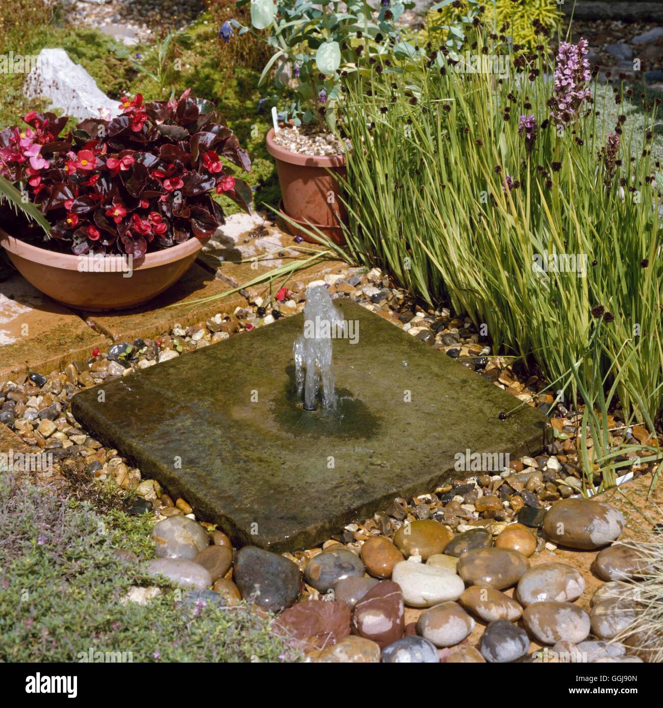 Small pond or water feature hi-res stock photography and images - Alamy