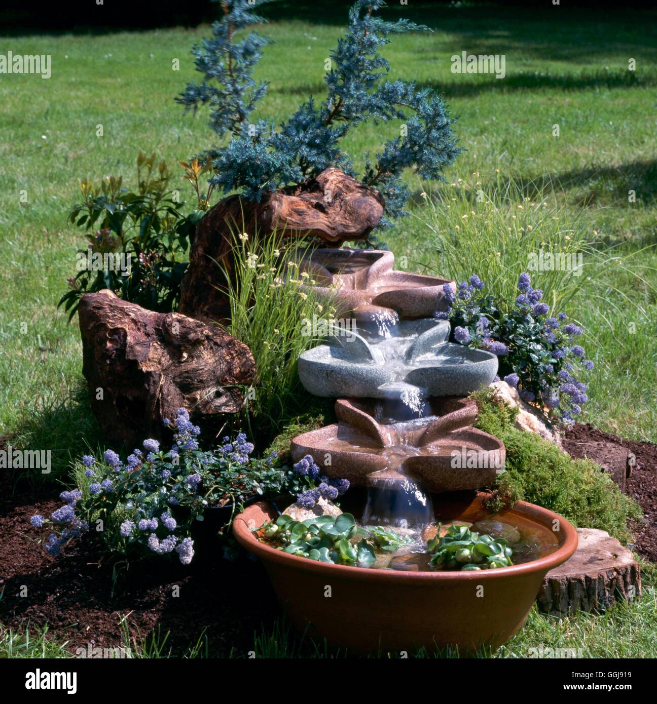 Fountain/Water Feature - (Ornamental design based on a Water ...