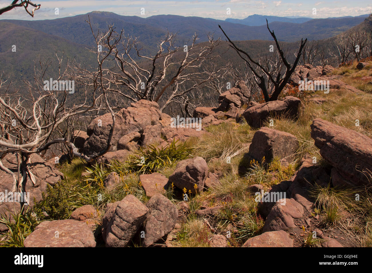 Landscape in the Victoria High Country Stock Photo - Alamy