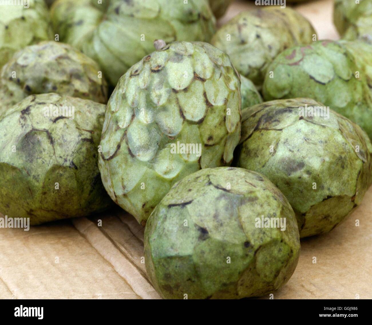 Anona hi-res stock photography and images - Alamy