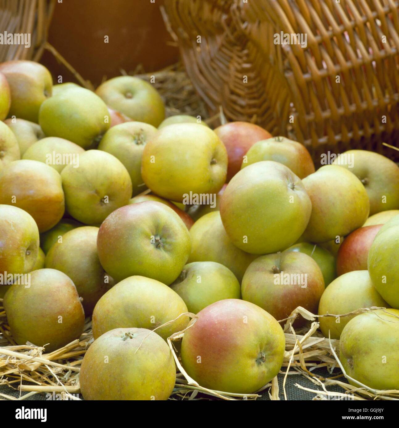 Apple ribston pippin hi-res stock photography and images - Alamy
