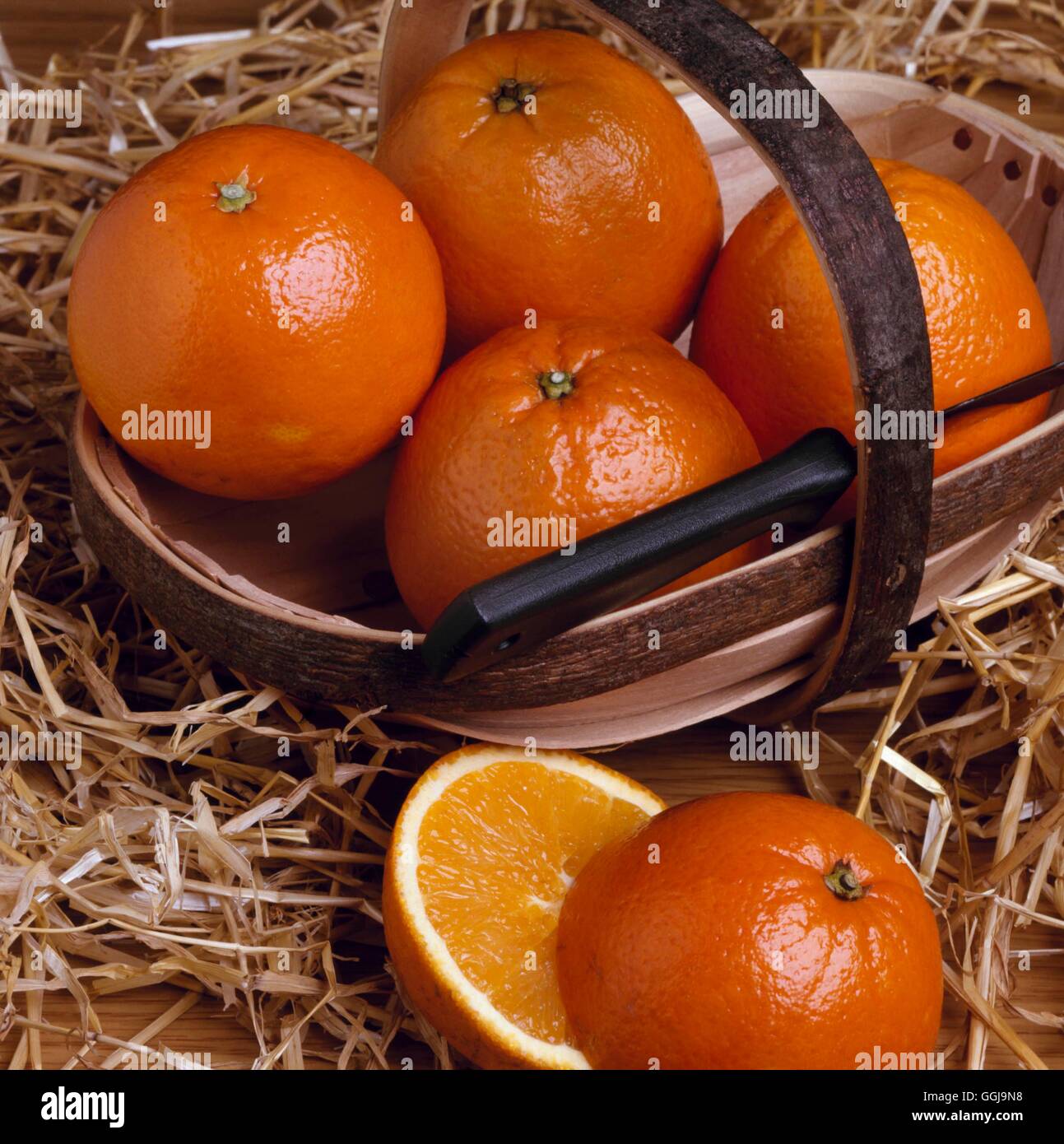 Orange - Navel - `Washington' (Citrus sinensis) FRU073243 Stock Photo ...