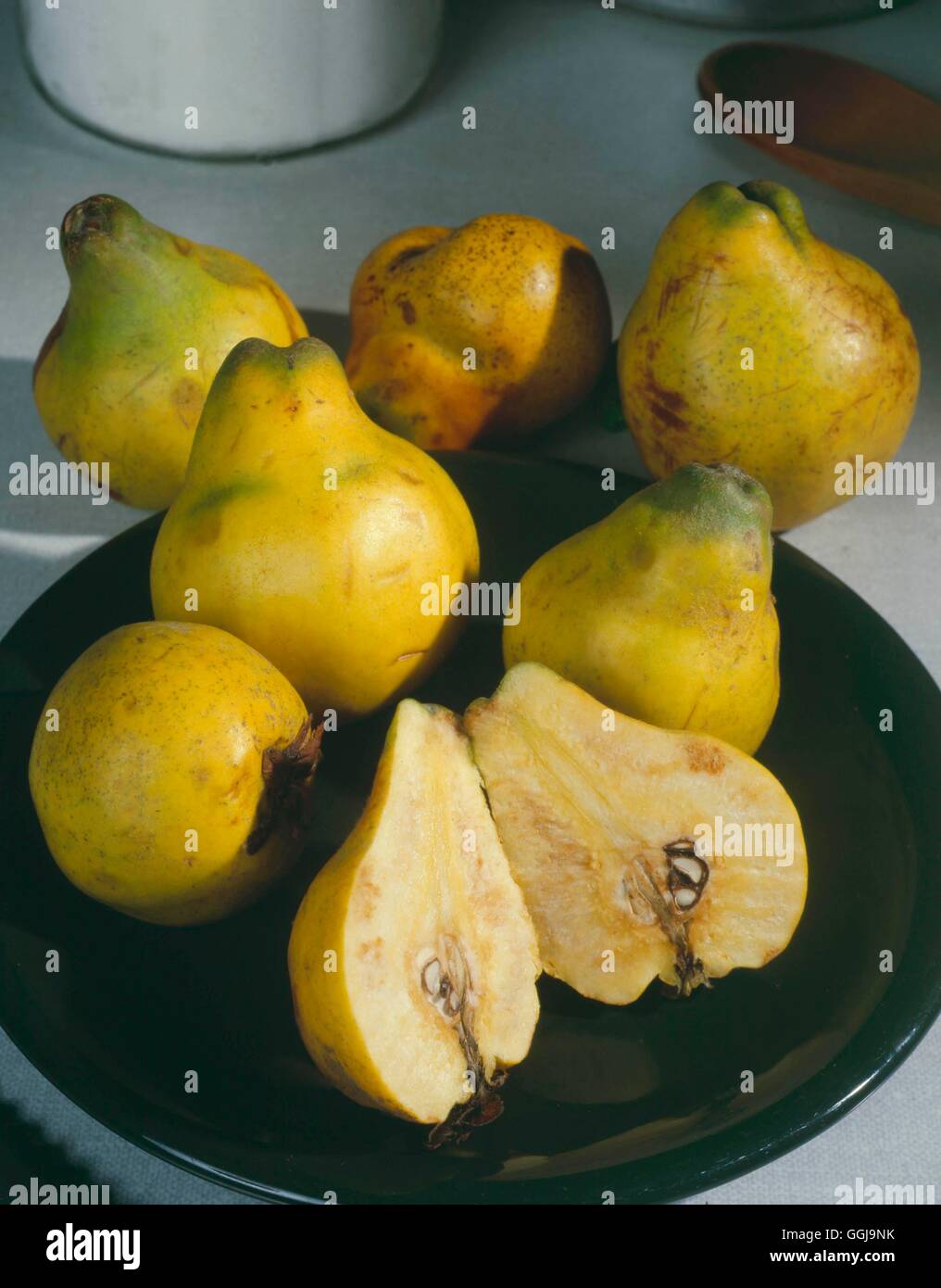 Quince - (Cydonia oblonga) FRU075087 Stock Photo - Alamy