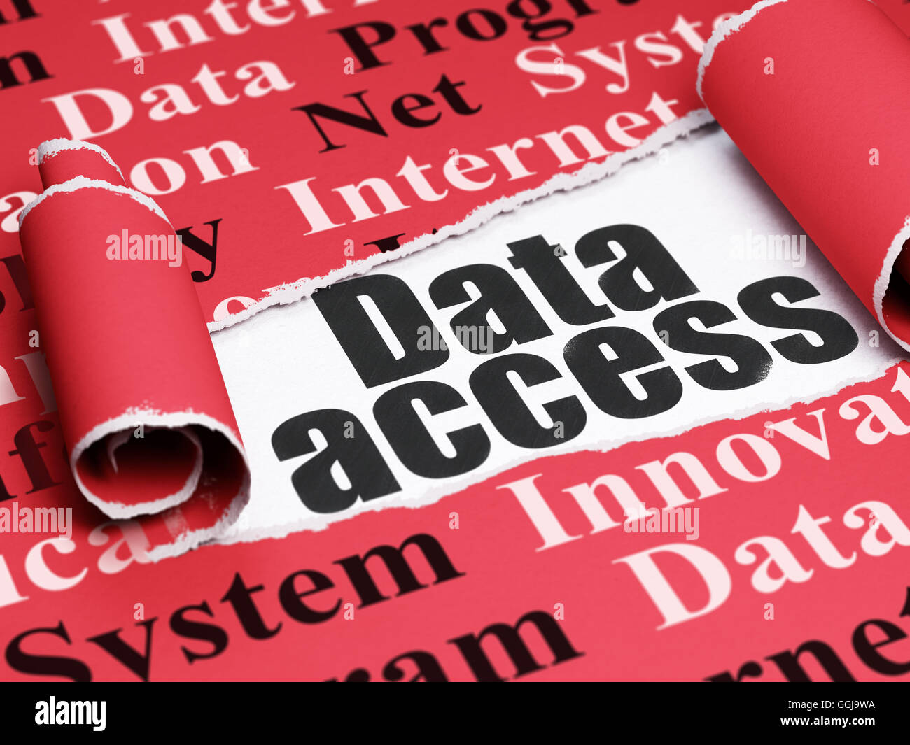 Information concept: black text Data Access under the piece of torn ...