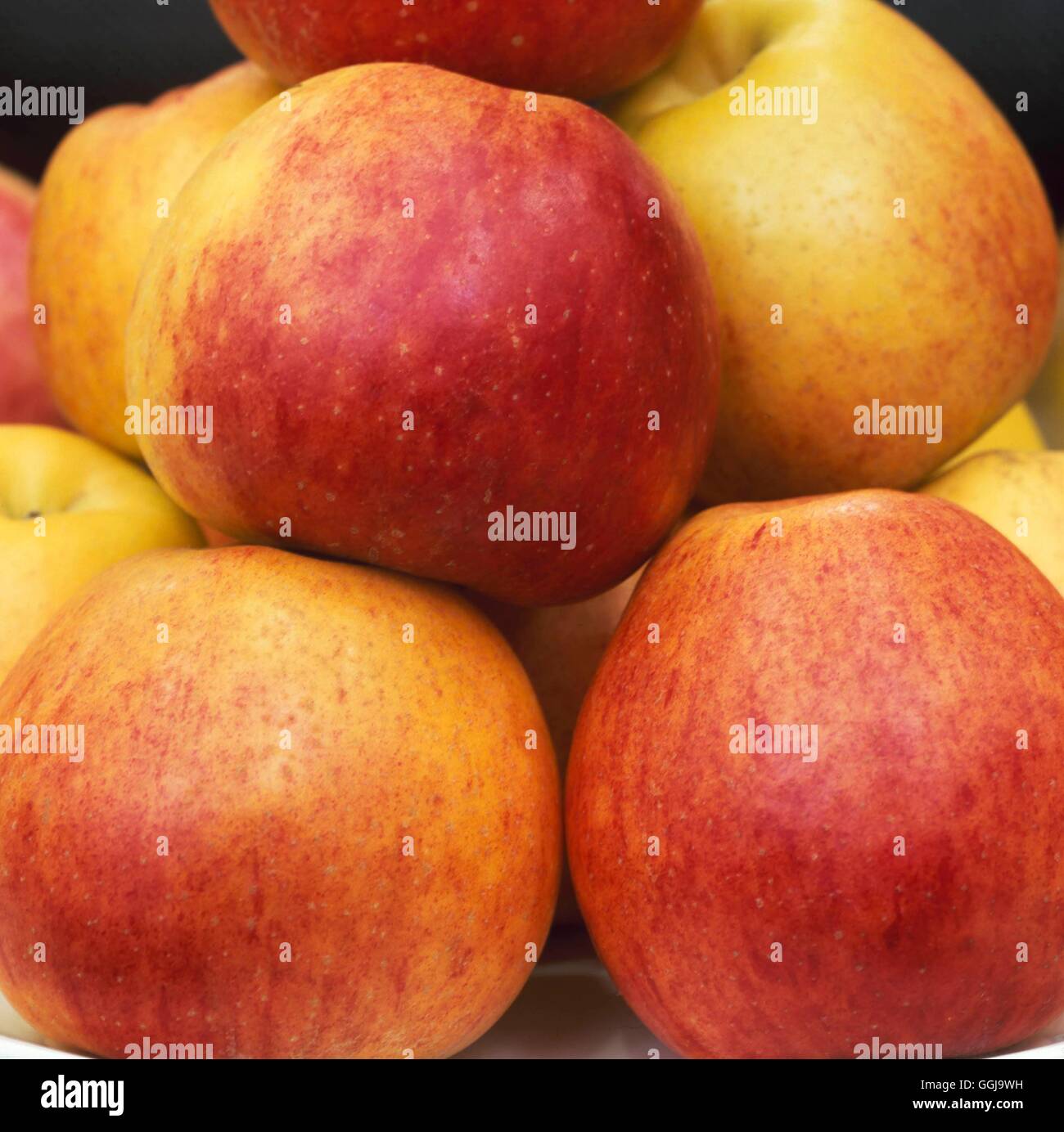 Chivers High Resolution Stock Photography and Images - Alamy