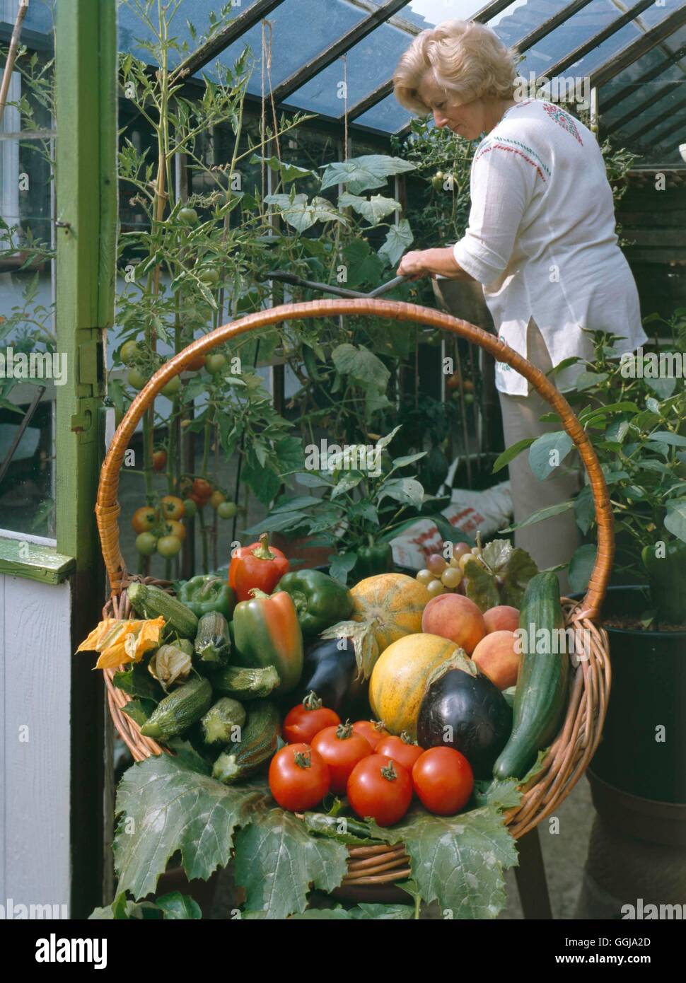 Fruit and Vegetable Collection - with Peppers Courgettes Tomatoes ...