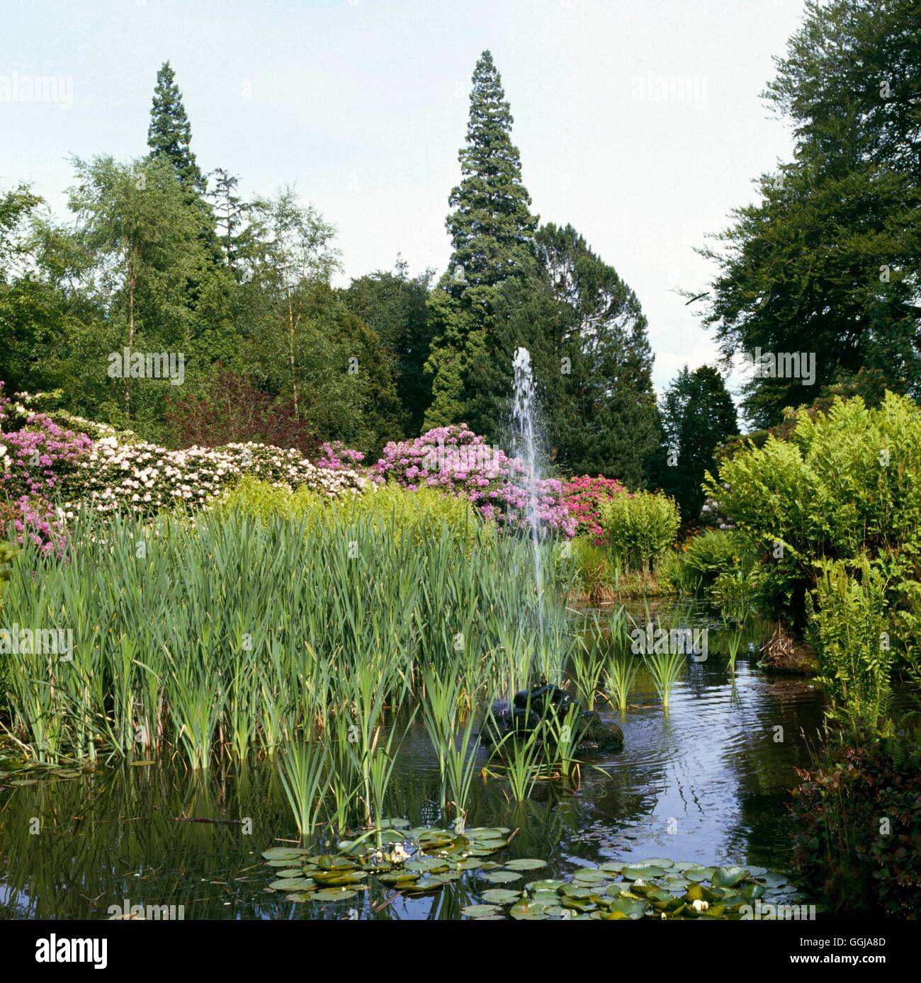 Tattonpark hi-res stock photography and images - Alamy